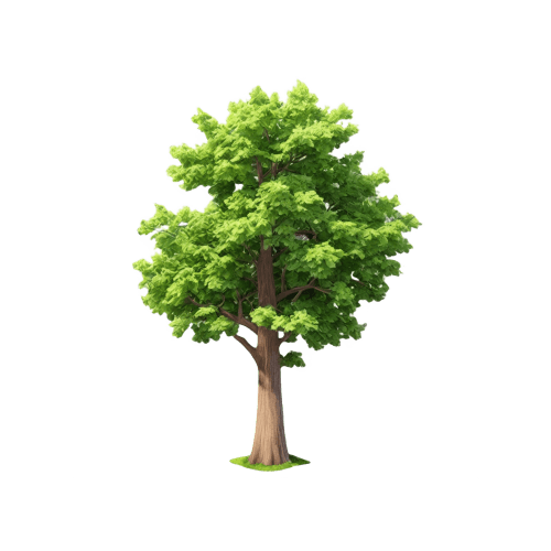 Patricia Ann Singer Obituary (1948 - 2025) - Glenville, New York